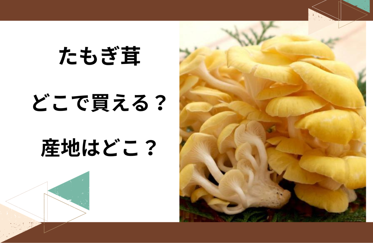 子持ちヤリイカ どこで売ってる？ドンキや業務スーパーで買える？値段は？ お菓子の売ってる場所や限定スイーツを買える店を調査｜モグパ